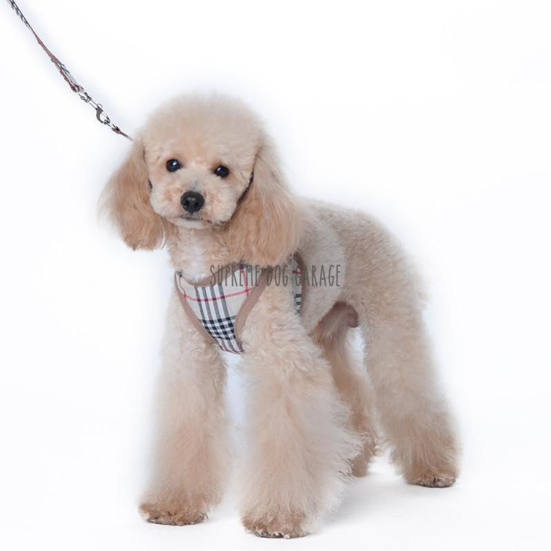 Furry Berry Designer Dog Harness And Lead Set | Supreme Dog Garage