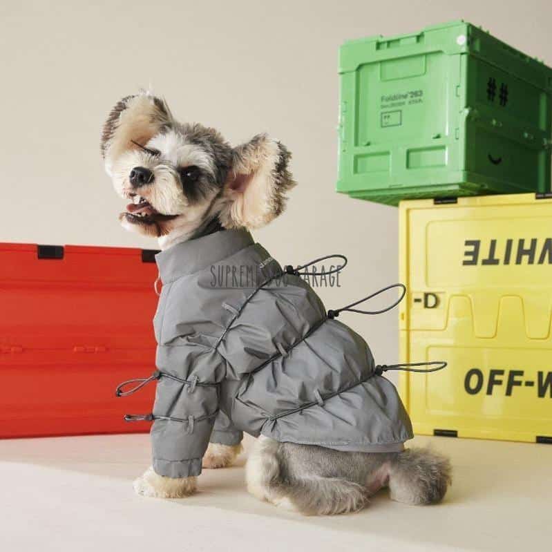 Reflective Winter Dog Puffer Jacket | Supreme Dog Garage
