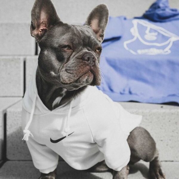 Classy Shoe Nike Dog Hoodie - Supreme Dog Garage