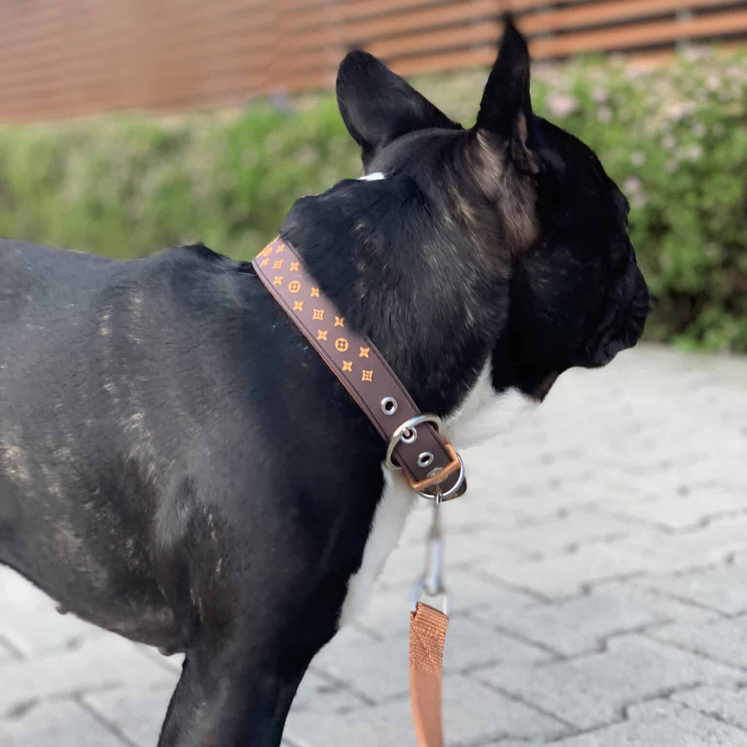 Chewy Designer Dog Collar And Leash Set | Supreme Dog Garage